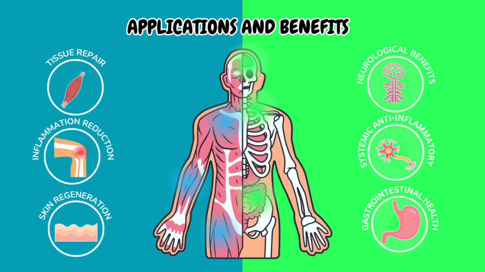 Pentadeca Arginate vs BPC-157: Understanding the Differences - Amazing Meds